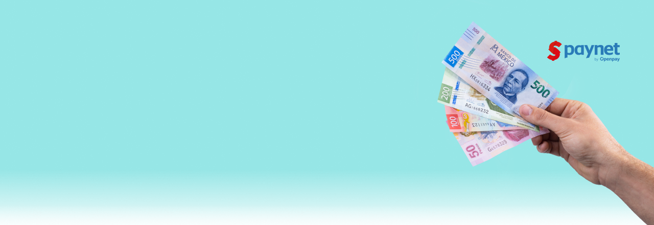 Pagos en línea: acepta todos los métodos de pago | Openpay